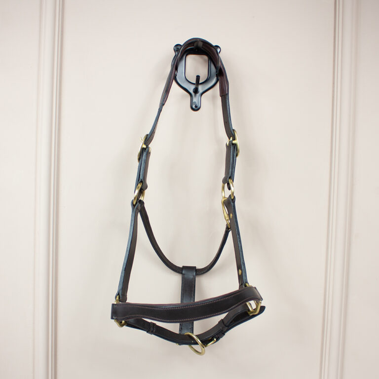 Claridge House Lederhalfter braun COB - myMILLA