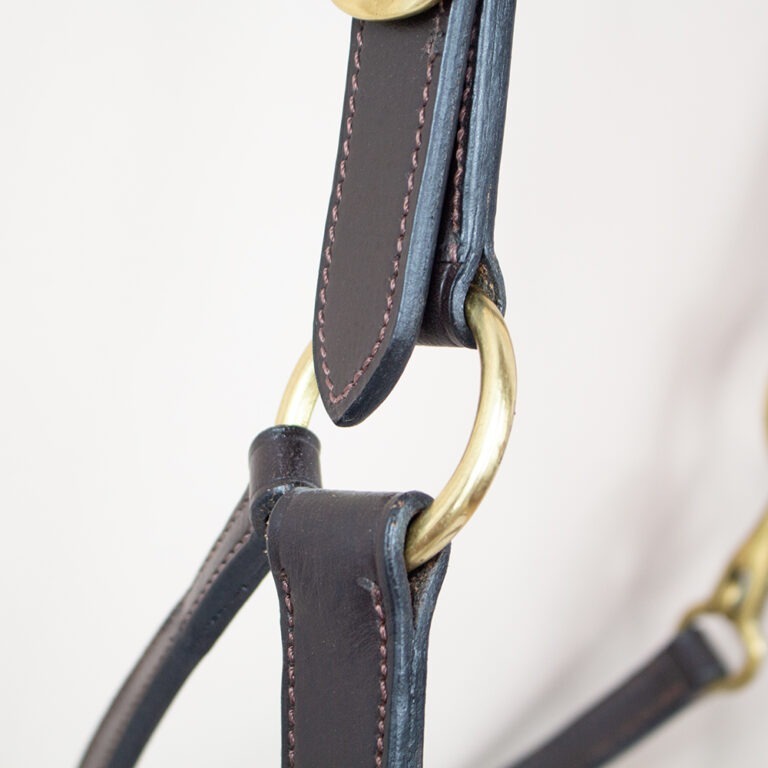 Claridge House Lederhalfter braun COB - myMILLA