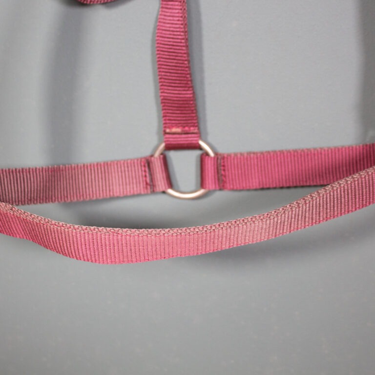 Halfter rot WB - myMILLA